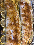 Classic Hake Bulk Box | Frozen Box | Wild caught | 5kg – Greenfish