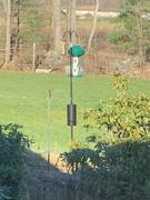 Garden Pole Set-2 Hangers, Baffle and Ground Auger - The Birdhouse Chick