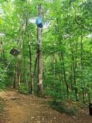 Bear Bagging Kit – Zpacks