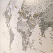 World Push Pin Map - Grey (Detailed) - Tripmapworld.com