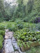 Lutz Winter Keeper Beet (Heirloom, 80 Days) – Pinetree Garden Seeds