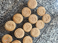 Fun Silicone Easter 🐰 Cookie Stamps | Stampies | We Might Be Tiny