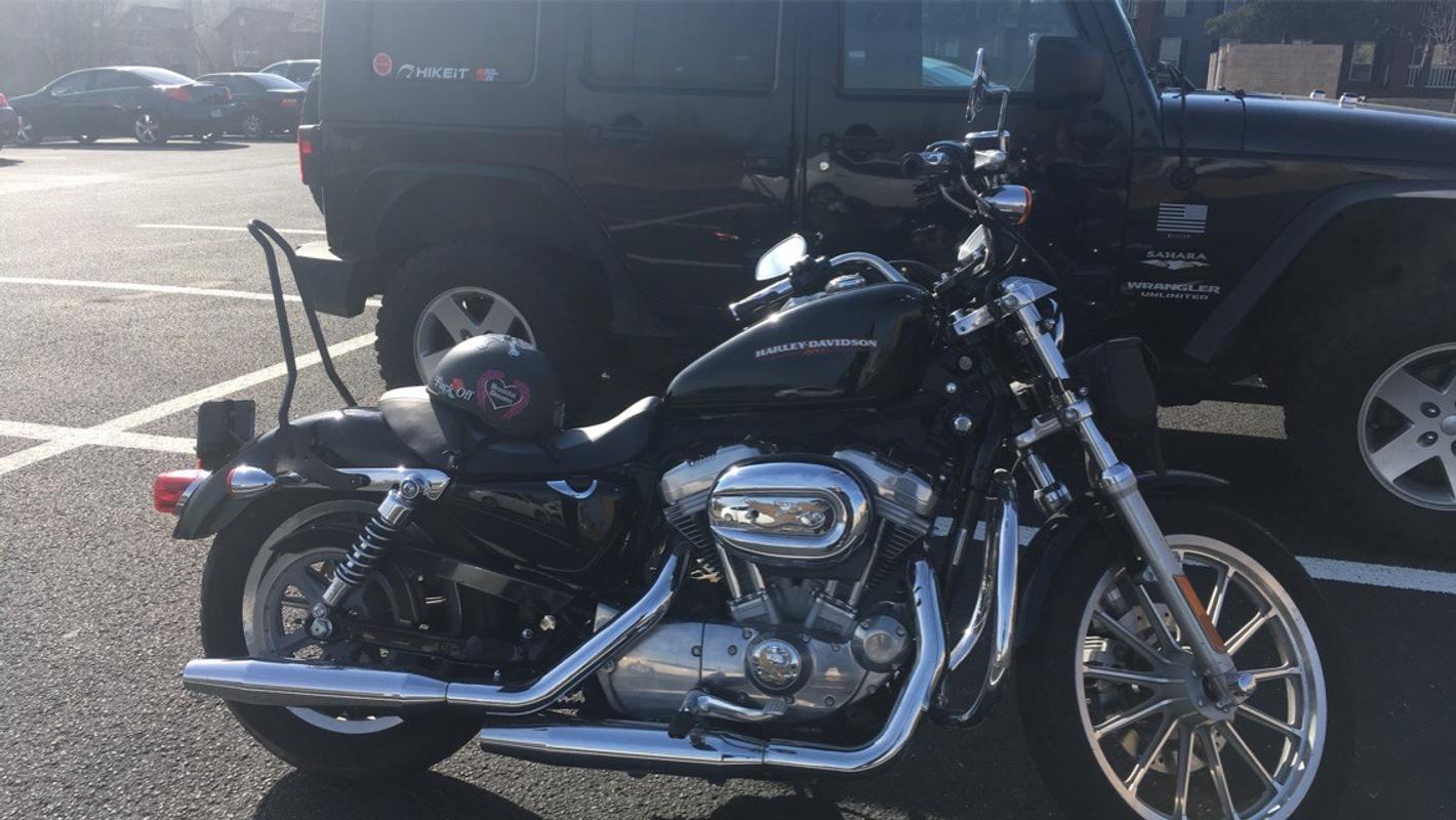 TC Bros. Sportster 2004-22 Kickback Sissy Bar Black