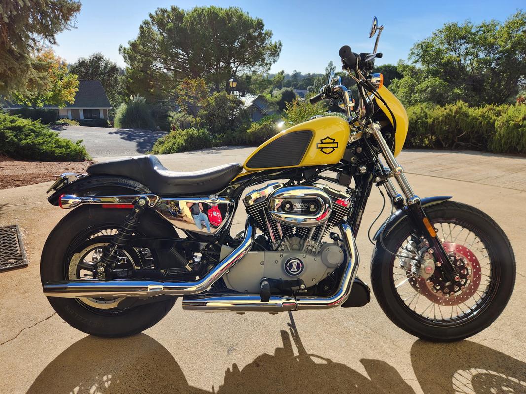 Cycle Standard Blackbird Legacy Gas Tank for 2007-2022 EFI Harley ...