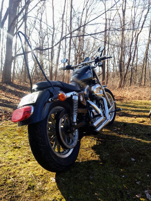 Gasbox Tall Chopper Bolt On Sissy Bar - 2004 & Up Sportsters – Lowbrow ...