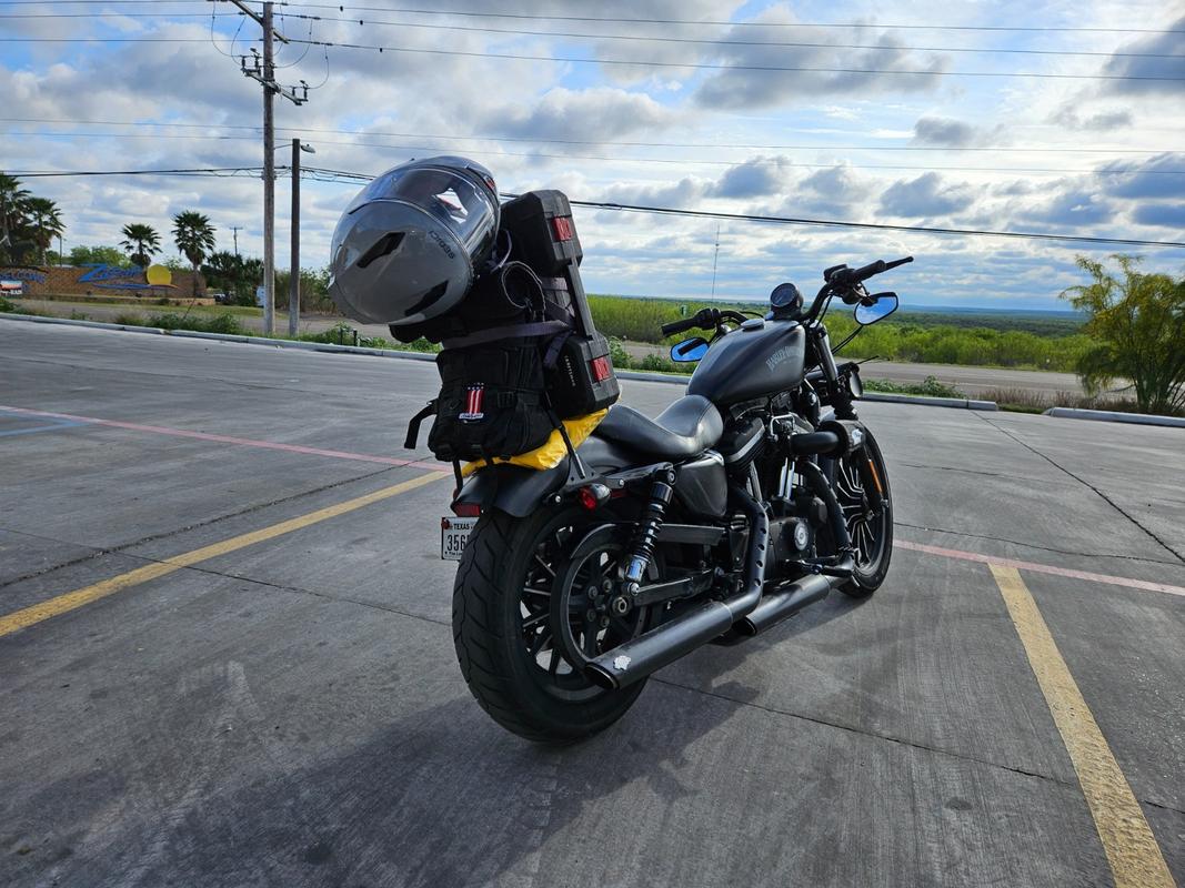 Gasbox Tall Chopper Bolt On Sissy Bar - 2004 & Up Sportsters – Lowbrow ...