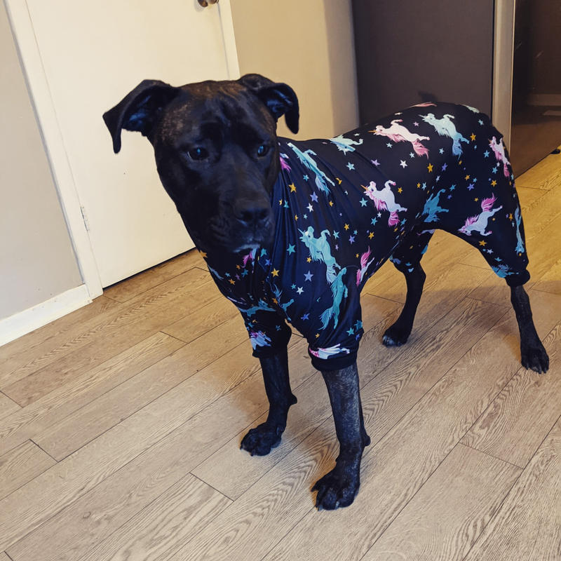 Unicorn Dog Pajamas – Tooth & Honey