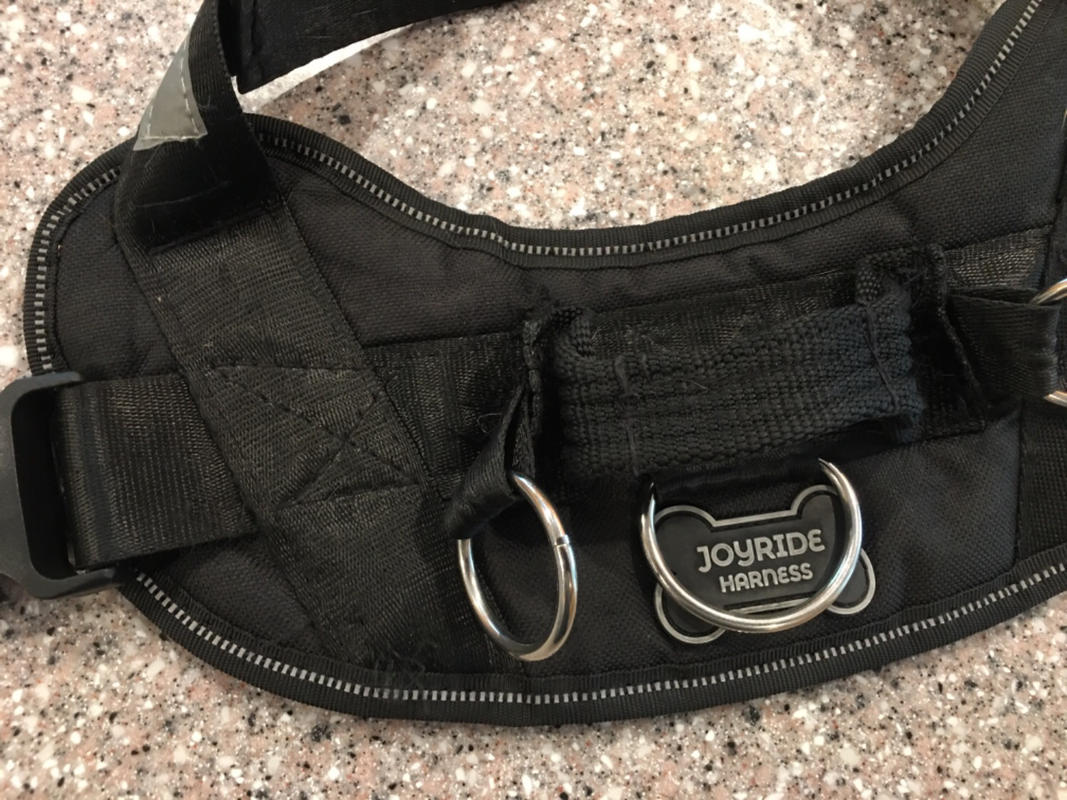 Discount Limited Edition Harness – Joyride Harness