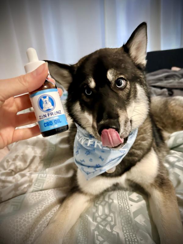 Zen Drops - CBD 250MG for Dogs & Cats – Zen Frenz