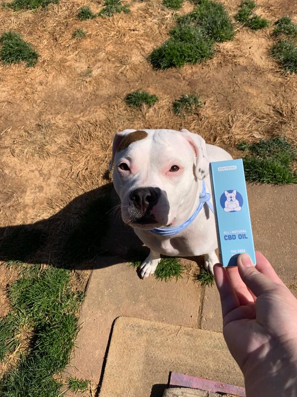 Zen Drops - IMMUNITY for Dogs & Cats – Zen Frenz