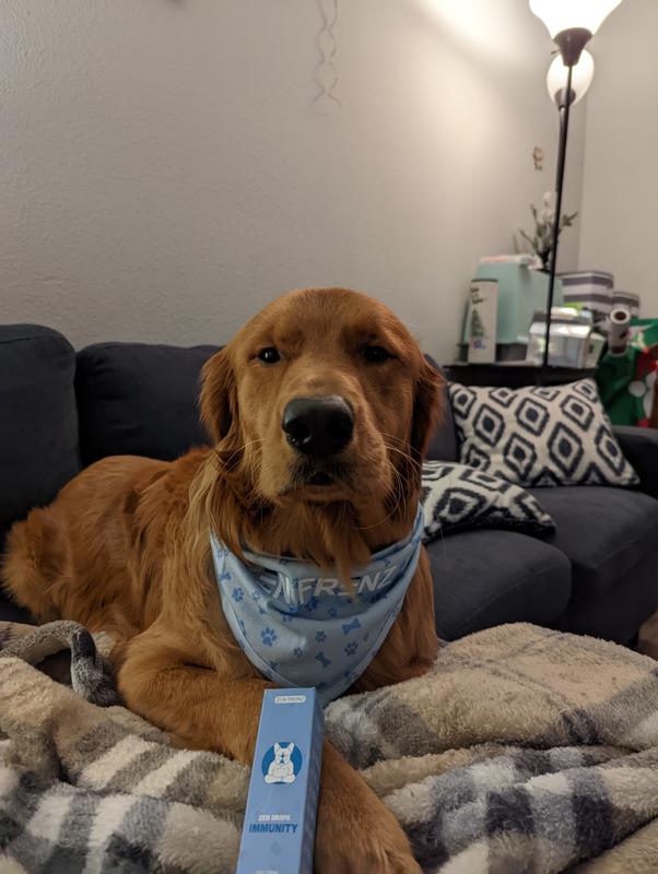 Zen Drops - IMMUNITY for Dogs & Cats – Zen Dogs and Cool Cats