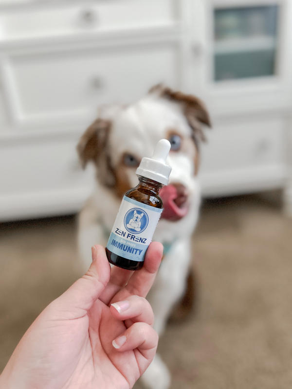 Zen Drops - IMMUNITY for Dogs & Cats – Zen Dogs and Cool Cats
