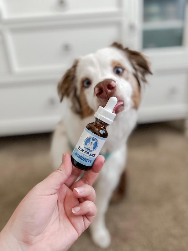 Zen Drops - IMMUNITY for Dogs & Cats – Zen Dogs and Cool Cats