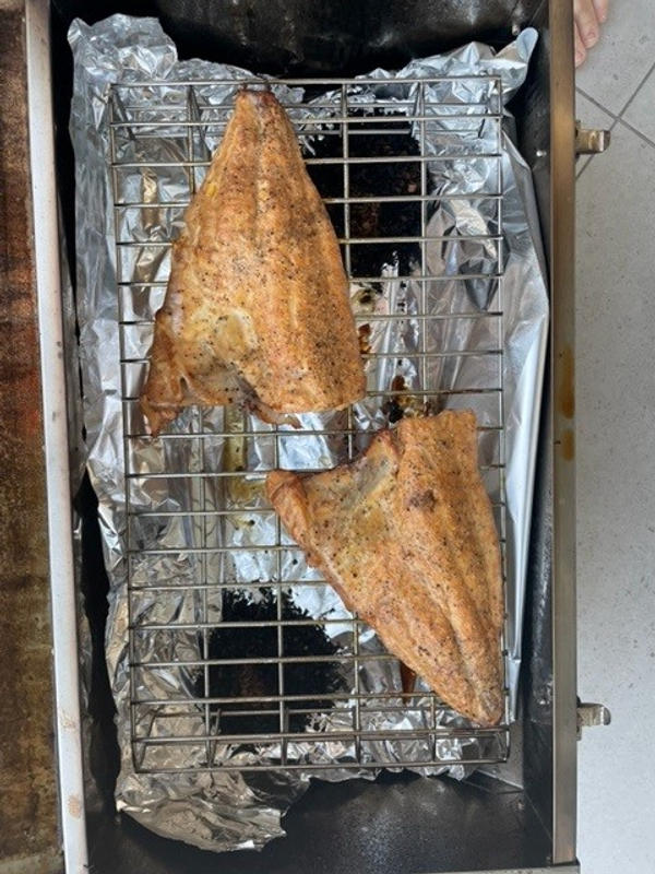 Red Stumpnose | Fresh Fish Box | Caught in Struisbaai – Greenfish