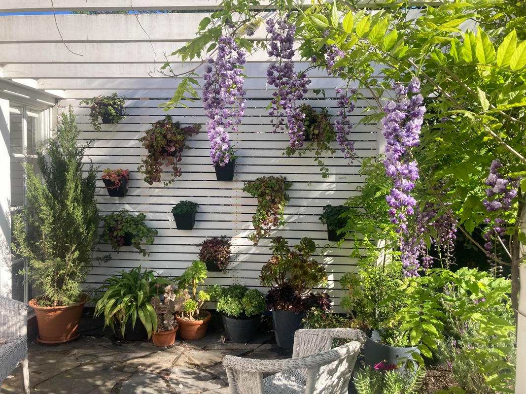Wallgarden Multi Hang 10 Pot Vertical Garden Wall Kit – Vertical ...