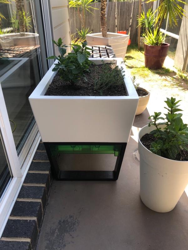 Glowpear Urban Garden Self Watering Planter Box – Vertical Gardens Direct