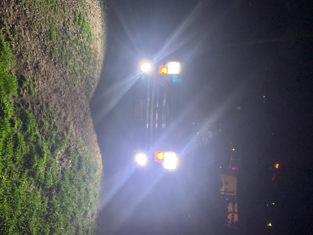 (Fog Lights) FUZED LED 9145/9140 F1 Bulb Set