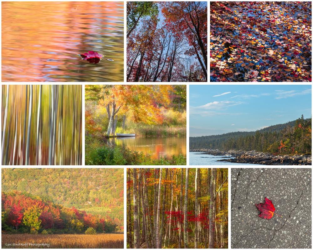 Lightroom Collage Templates — Nicolesy