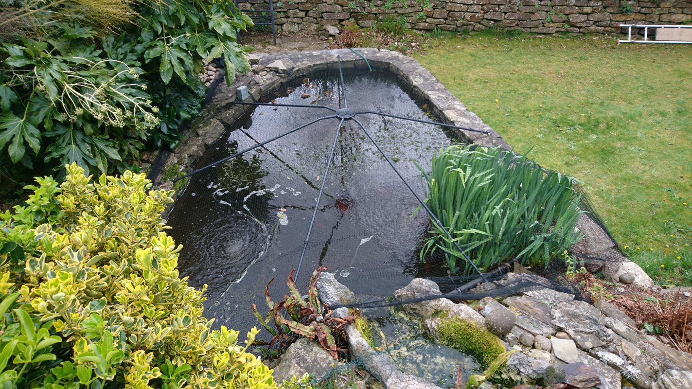 Universal Pond Cover | Garden Features | Agriframes