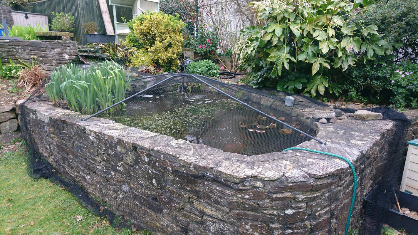 Universal Pond Cover | Garden Features | Agriframes