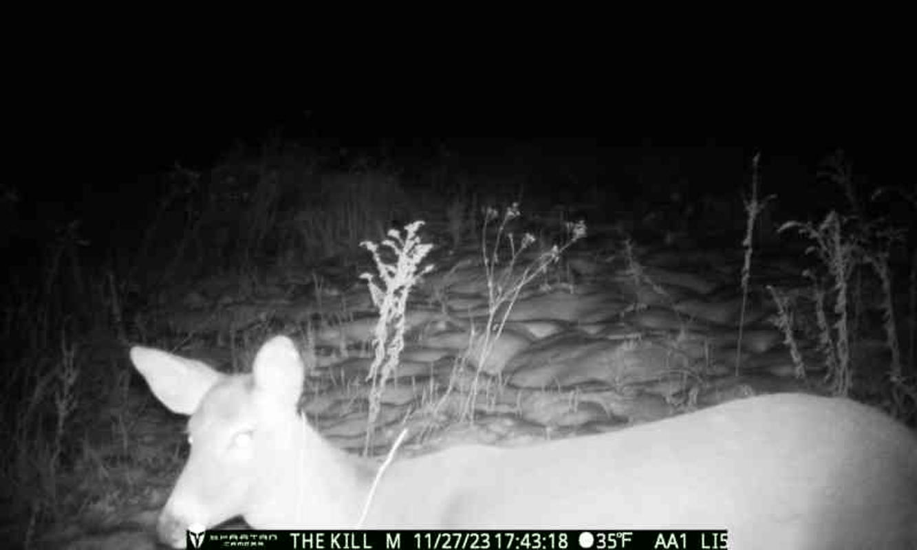 Quick-Aim Camera Mount | Trail Camera Gear | Spartan Camera