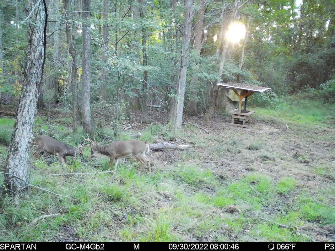 Quick-Aim Camera Mount | Trail Camera Gear | Spartan Camera