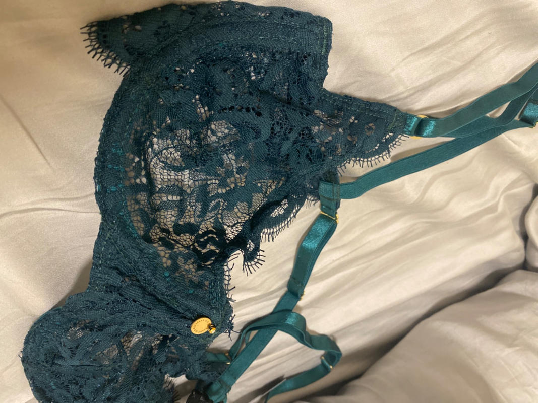 Dainty Bra Lingerie - Black | Gooseberry - Gooseberry Intimates