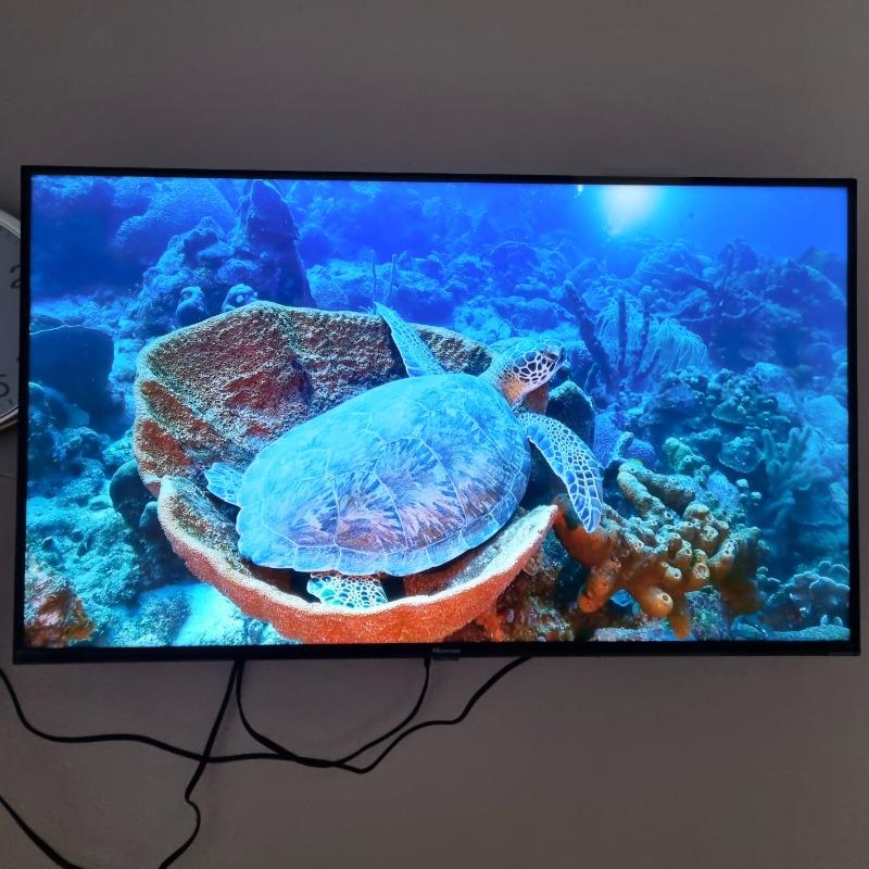 QLED Vs LED: 3 Things You Need To Know When Choosing A New TV - Hisense Singapore