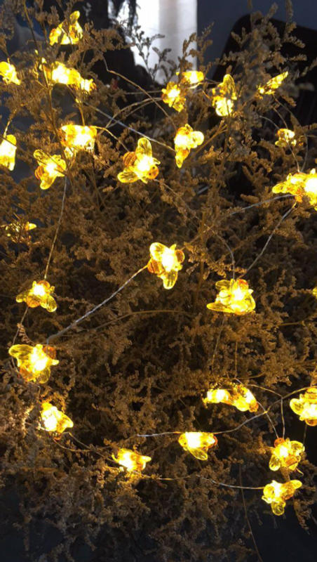 Solar-Powered LED Bee String Lights – Next Deal Shop