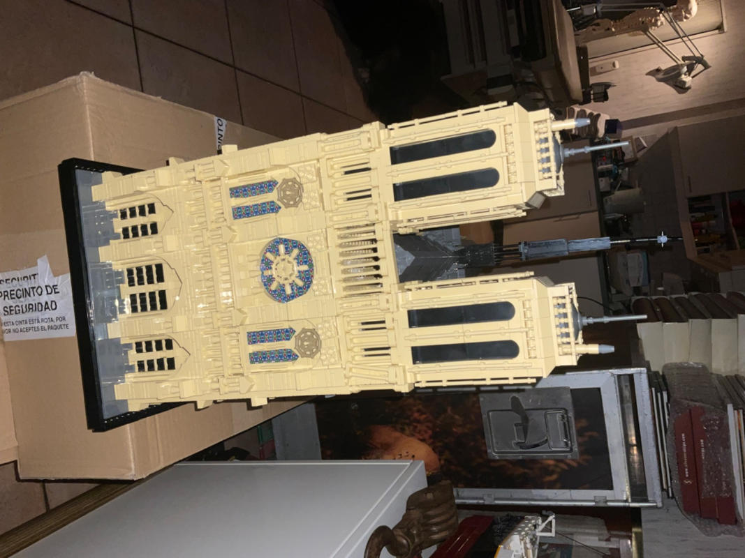 Reobrix 66016 Cathedral of Notre-Dame – Your World of Building Blocks