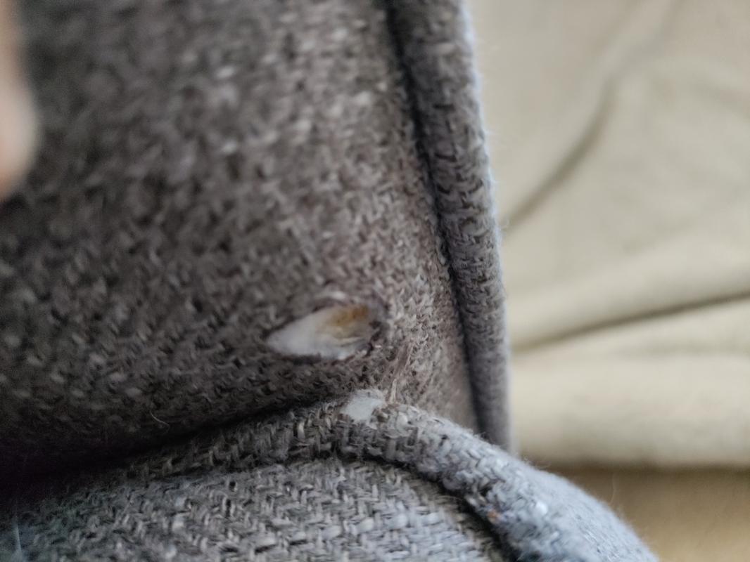 DynaVap Captive Cap - Planet Of The Vapes