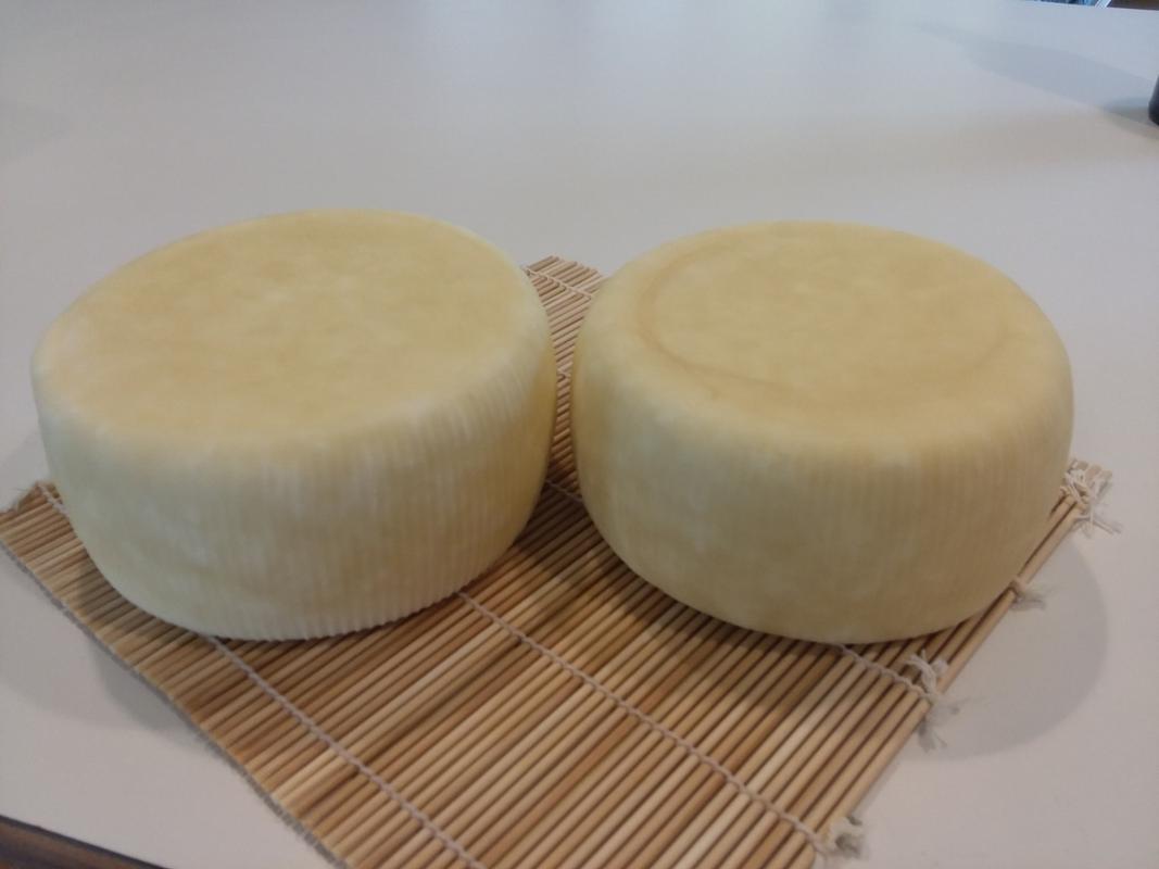 Canestrato Cheese Mold | How to Make Cheese | Cheese Making