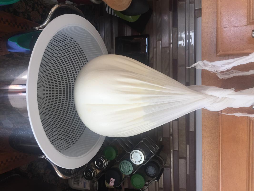 Lactic Cheese with Truffle Oil Recipe | Cheese Making Supply