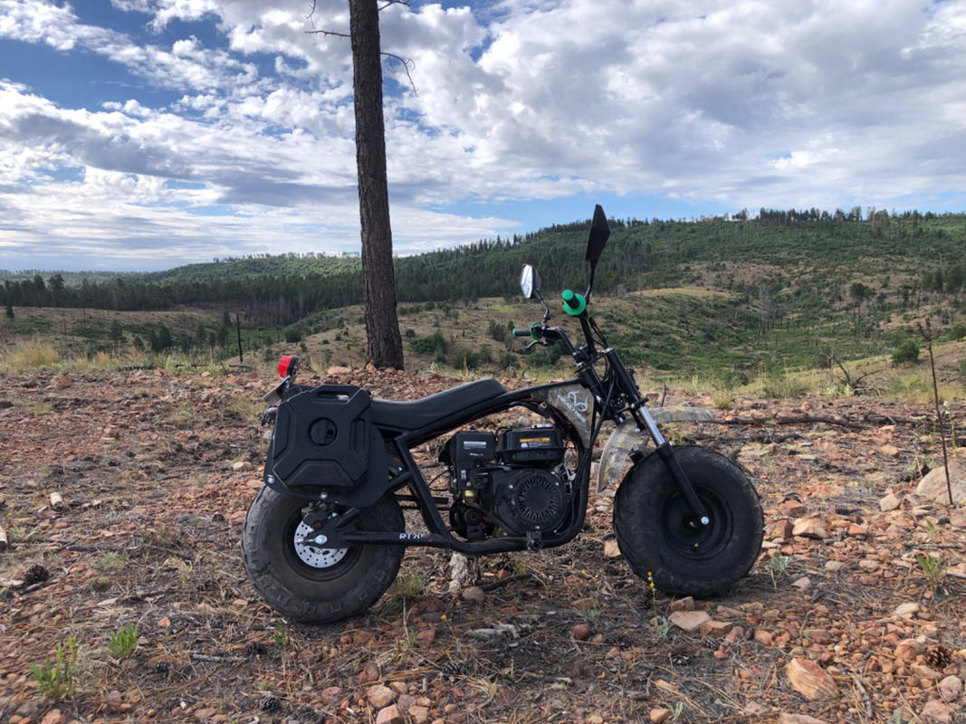 Axle / Swing Arm Bolt 12mm * 320mm [12.6 Inches] Coleman RB200 ...