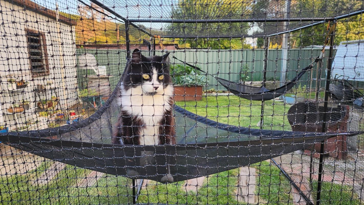 Double Size 3.6m Freestanding Cat Enclosure – Catnets