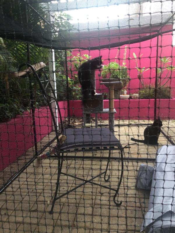 Double Size 3.6m Free-Standing Cat Enclosure – Catnets