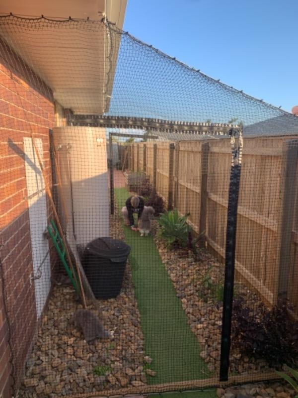 Complete Wall Net with F-Zipper (3.5m x 3.5m Netting) - Black – Catnets