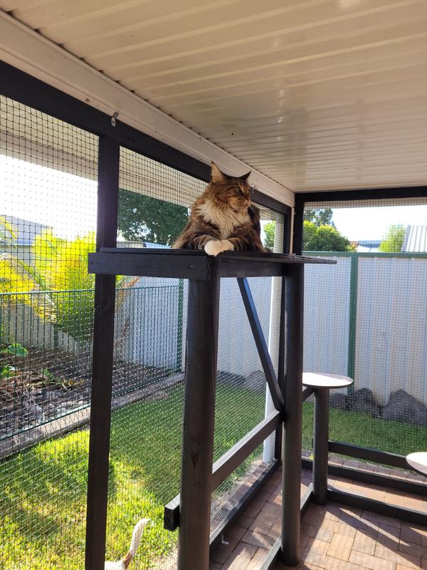 Stainless Steel Complete Wall Net with F-Zipper (3.5m x 3.5m Net) – Catnets