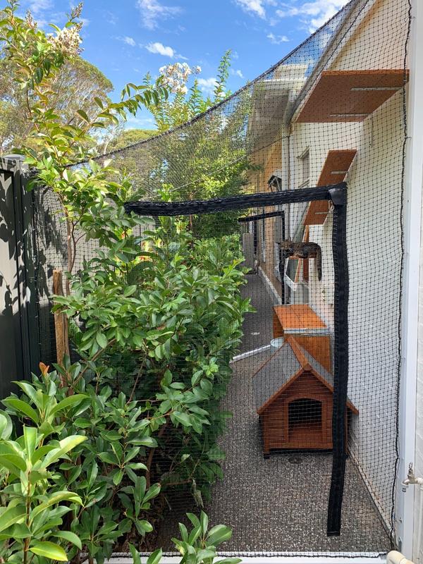 Stainless Steel Complete Wall Net with F-Zipper (3.5m x 3.5m Net) – Catnets