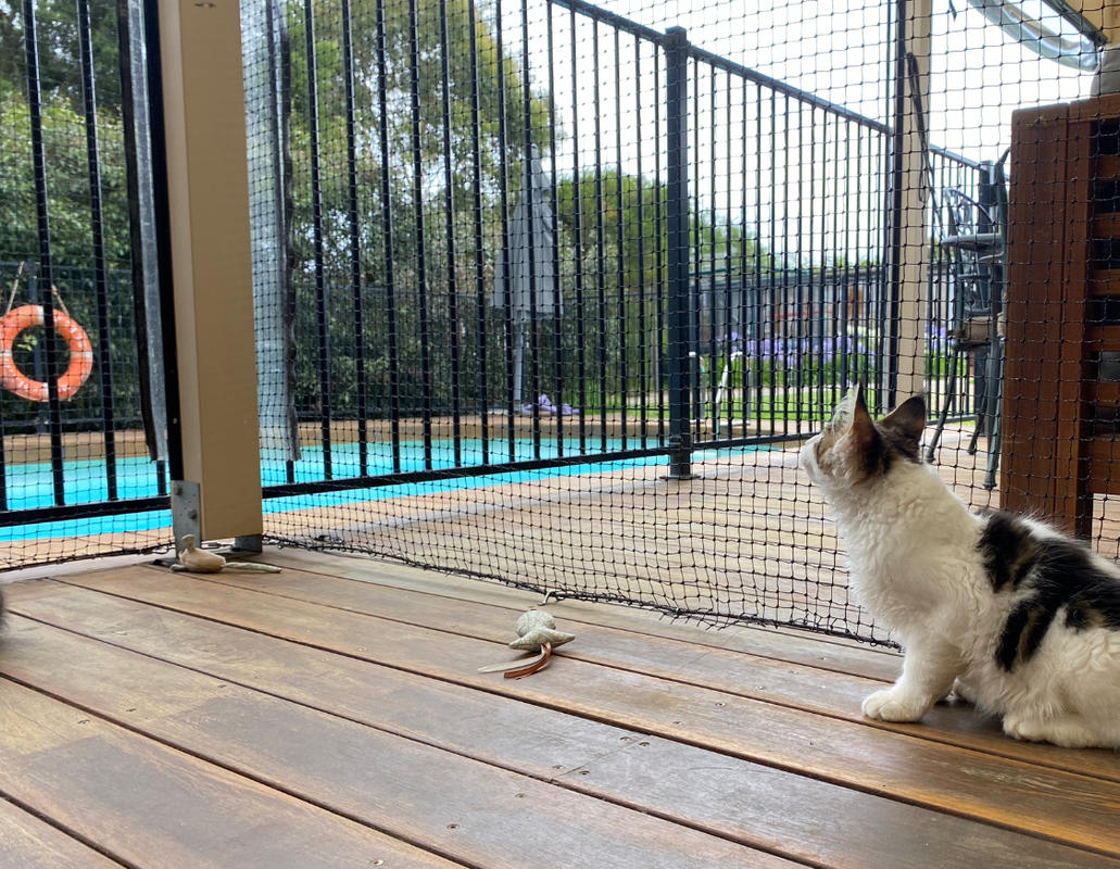 Stainless Steel Complete Wall Net with F-Zipper (3.5m x 3.5m Net) – Catnets