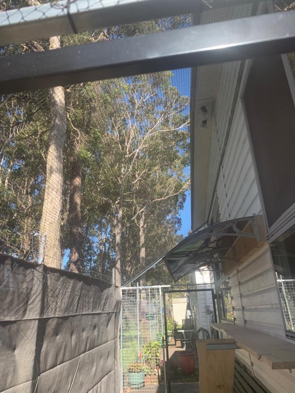 Stainless Reinforced Premium Cat Netting 10m x 3m – Catnets