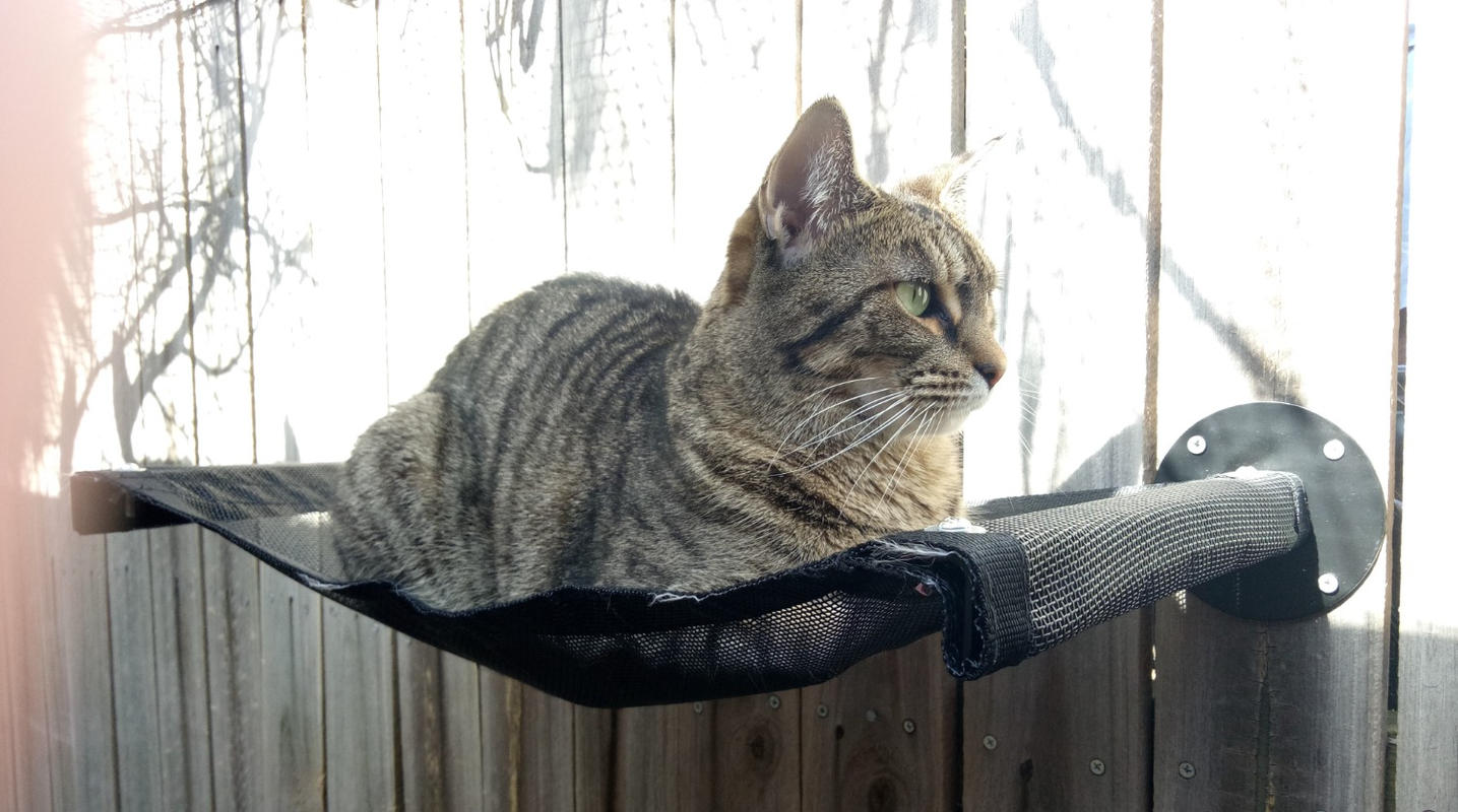 Skywalks Cat Hammock - Wall Mounted – Catnets New Zealand