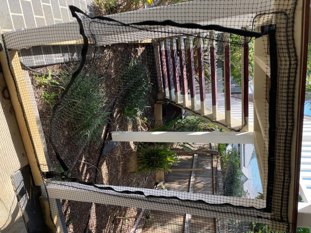 Cat Netting 10m x 5m Black – Catnets