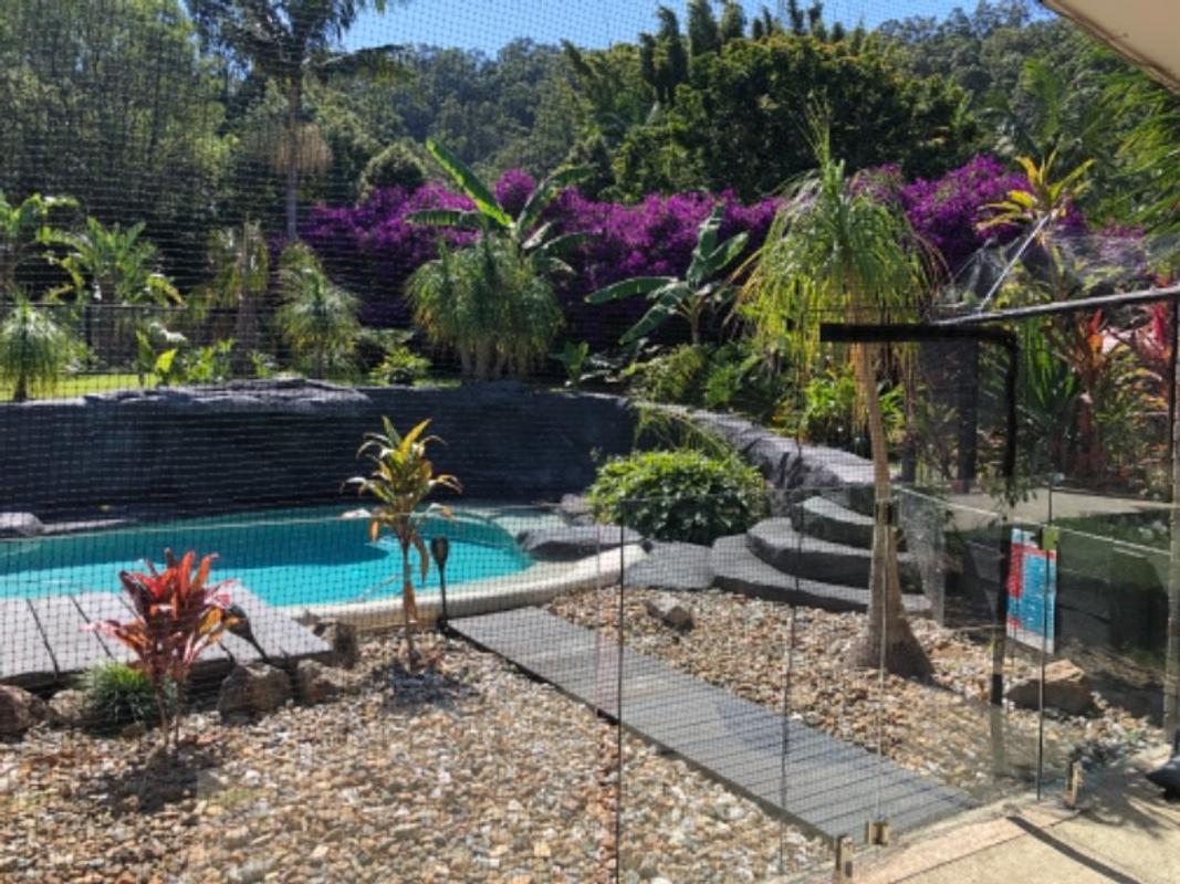 Cat Netting 10m x 5m Black – Catnets New Zealand