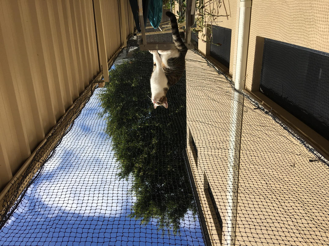 Stainless Reinforced Premium Cat Netting 20m x 1.8m – Catnets