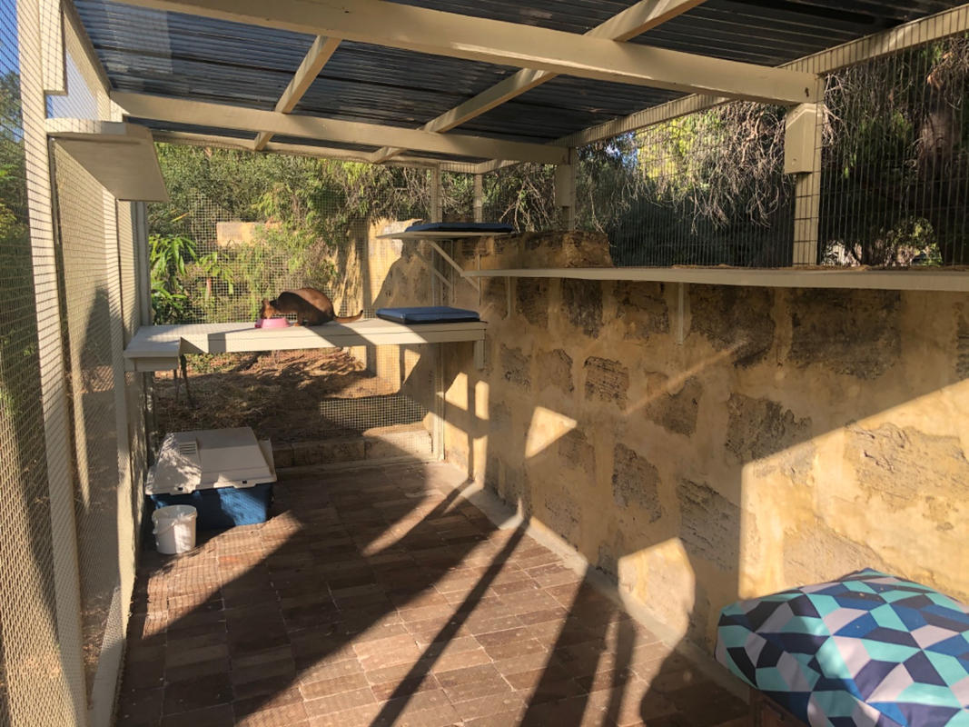 Cat Netting 10m x 5m Stone – Catnets