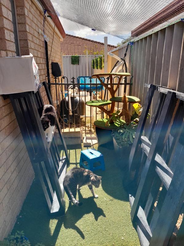 Cat Netting 10m x 1.8m Black – Catnets