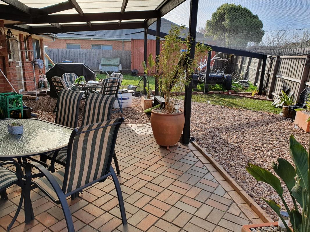 Cat Netting with Reinforced Edging 10m x 5m – Catnets