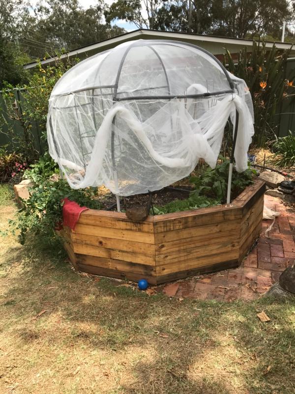 Netting - 2MM Woven Veggie Net 6MX6M — Aussie Gardener