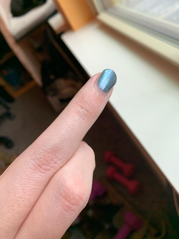 Overshadowed – Holo Taco